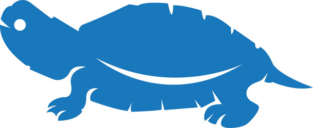 Turtle Top View Vector Images (over 200)