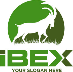 Ibex and deer logo designs simple Royalty Free Vector Image