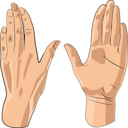 Open Hand Palm Down Vector Images (63)