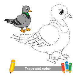 Trace and color for kids bird Royalty Free Vector Image