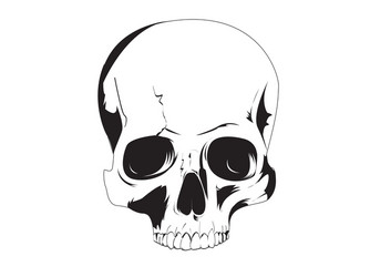 Human skull monochrome style Royalty Free Vector Image