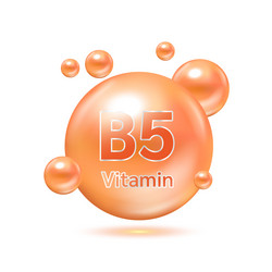 B5 Vector Images (over 81,000)