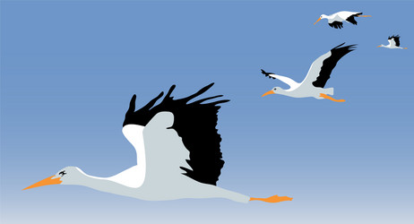 Storks Vector Images (over 9,400)