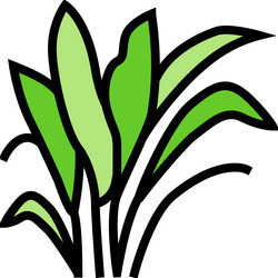 Sword Fern Vector Images (over 150)