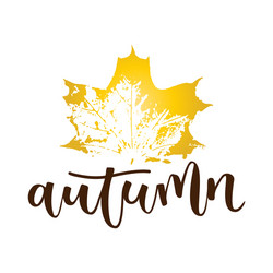 Autumn word handwritten with elegant cursive font Vector Image