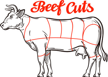 Beef Cuts Vector Images (over 14,000)