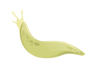 Green slug cartoon animal design flat isolated Vector Image