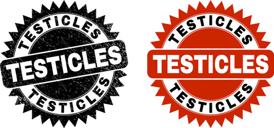 Male Testes Testicles Vector Images (over 170)