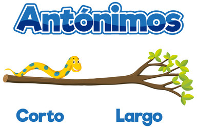 Spanish language education short and long picture Vector Image
