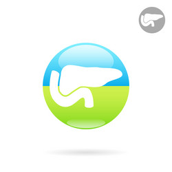 Pancreas isolated icon internal organ digestive Vector Image