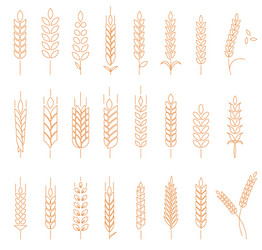 Barley Vector Images (over 34,000)