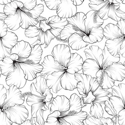 Beautiful hibiscus pattern Royalty Free Vector Image