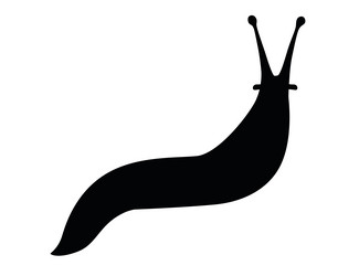 Green slug cartoon animal design flat isolated Vector Image