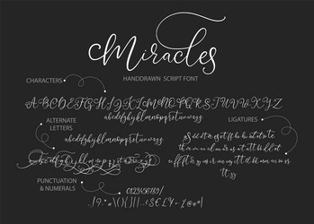 Handwritten lettering font alphabet Royalty Free Vector