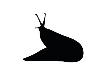 Slug Monster Vector Images (over 160)