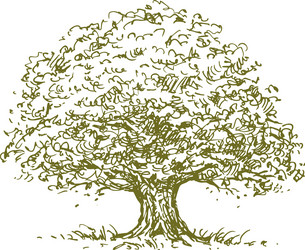 Old vintage tree Royalty Free Vector Image - VectorStock