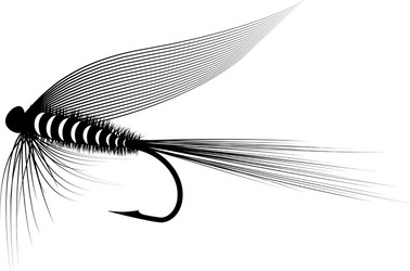 Fly Vector Images (over 780,000)