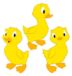 Cartoon birds Royalty Free Vector Image - VectorStock