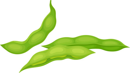 Open and closed green soybean pods items Vector Image