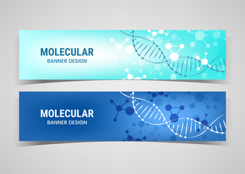 Dna poster set medical banner human Royalty Free Vector