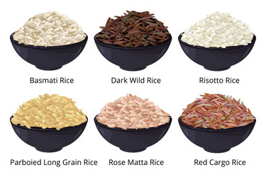 Brown Rice Vector Images (over 2,500)