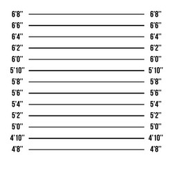 Height Chart in Jail Vector Images (over 140)