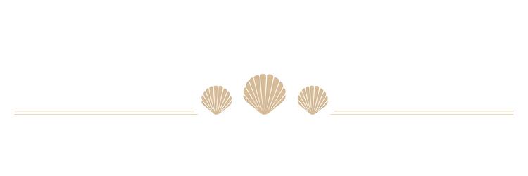 Seashells border divider sea and ocean design Vector Image