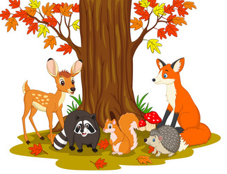 Cartoon wild animals in autumn forest Royalty Free Vector