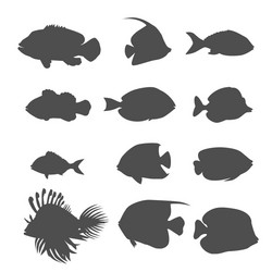 Set of sea fish color design flat Royalty Free Vector Image