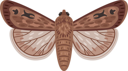 Cartoon Moth Vector Images (over 2,600)