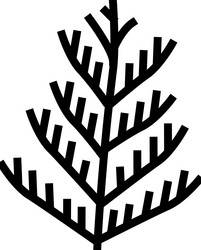 Cedar Vector Images (over 8,000)