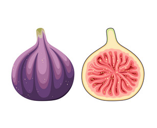 Ripe Vector Images (over 280,000)