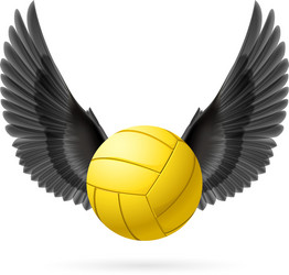 Flying ball Royalty Free Vector Image - VectorStock