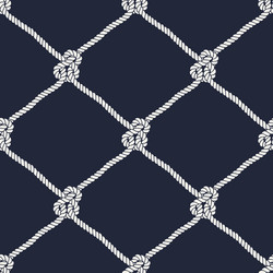 Endless nautical rope pattern hand drawn Vector Image