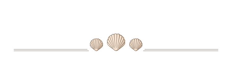 Seashells and starfish border divider silhouette Vector Image