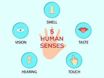 Look Listen Feel Vector Images (over 290)