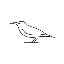 Bird Beak Vector Images (over 64,000)