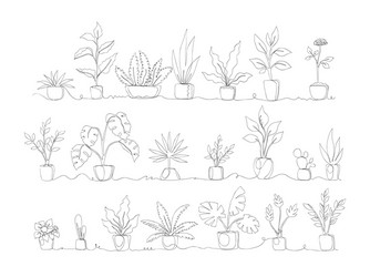 One continuous line potted plants home decor Vector Image