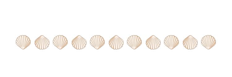 Seashells border divider outline sea and ocean Vector Image