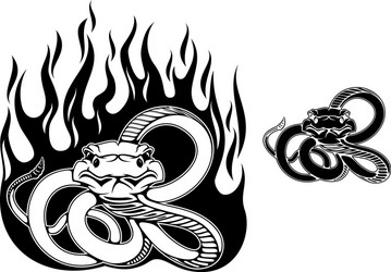 Snake Snakes Rattler Vector Images (51)