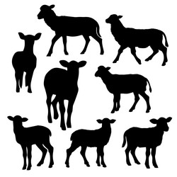 Sheep Black and White Clipart Vector Images (over 400)
