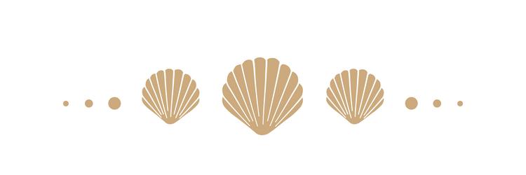 Seashells border divider outline sea and ocean Vector Image