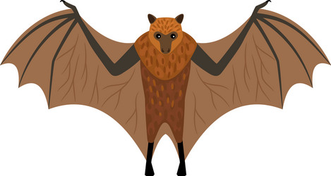 Flying Fox Vector Images (over 1,700)