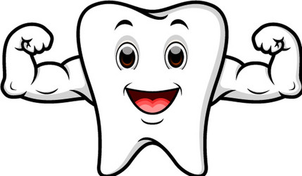 Strong tooth cartoon Royalty Free Vector Image
