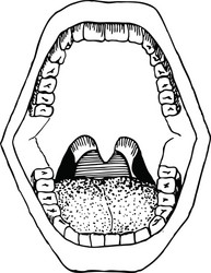 Open mouth in comic style Royalty Free Vector Image