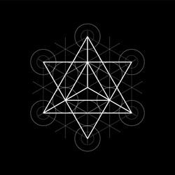 Hexahedron from metatrons cube sacred geometry Vector Image