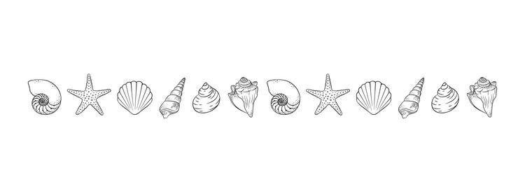 Seashells border divider sea and ocean design Vector Image