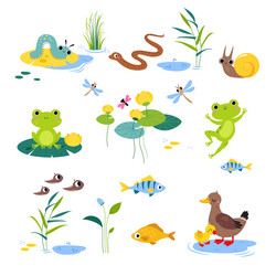 Swamp Animals Clipart