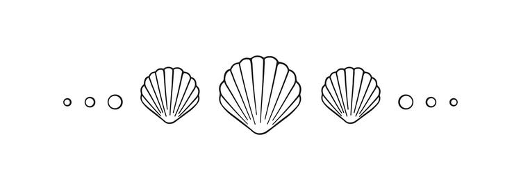 Seashells scallop border divider outline sea Vector Image