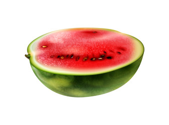 Watermelon Vector Images (over 69,000)